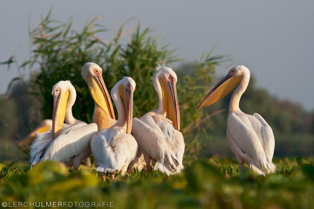 Oliver Ulmer Fotografie: Termine & Veranstaltungen seit 2015